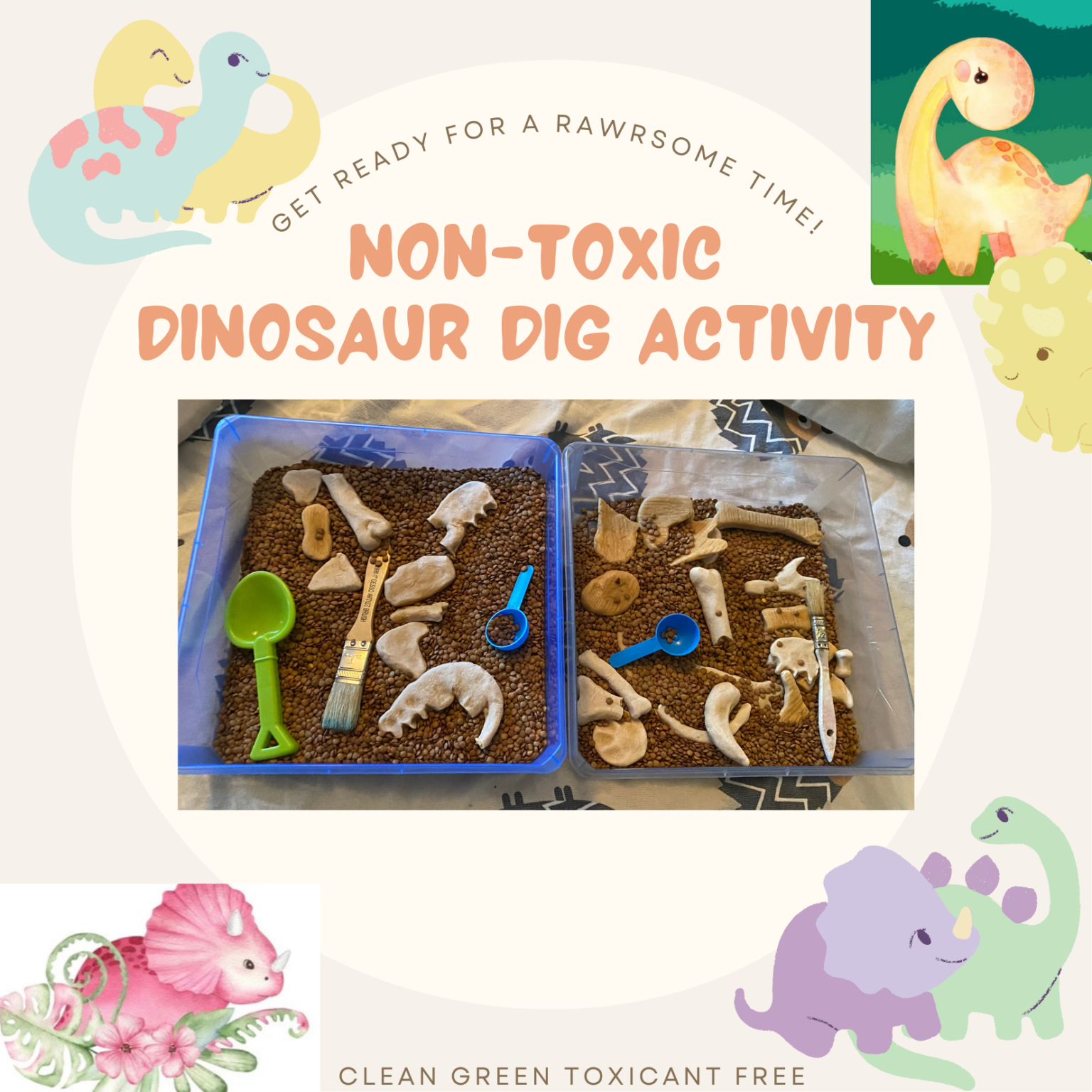 Non-Toxic Dinosaur 🦖 Bone Digging Activity 🦴 – Clean Green Toxicant Free