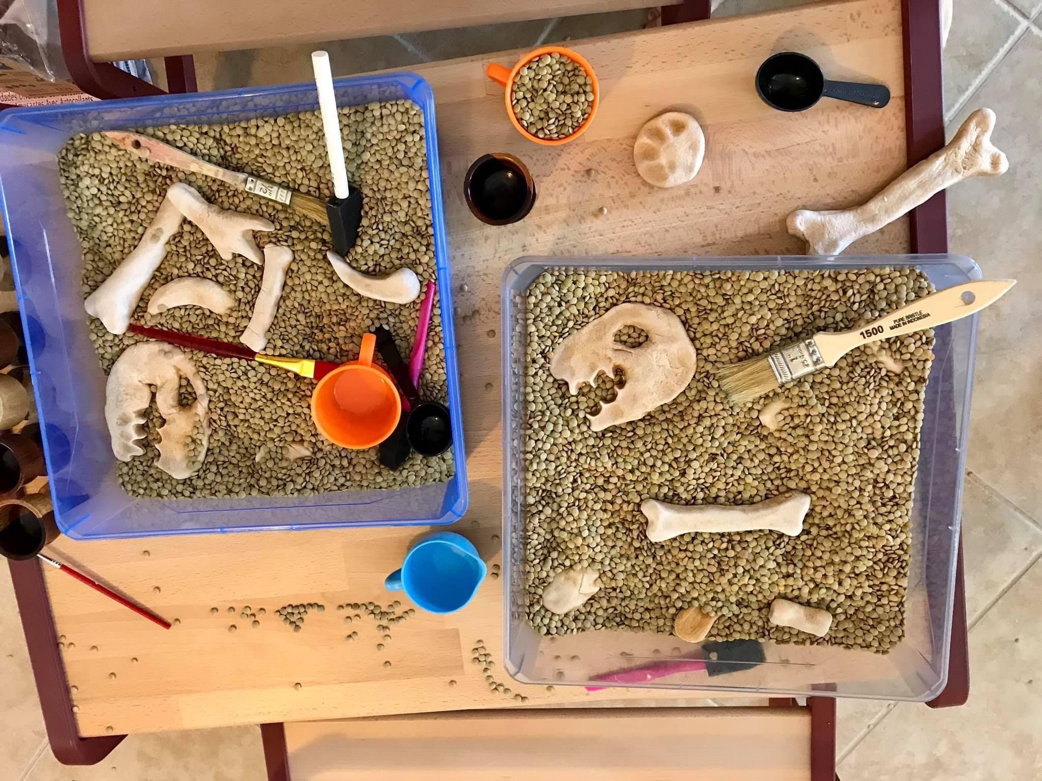 Non-Toxic Dinosaur 🦖 Bone Digging Activity 🦴 – Clean Green Toxicant Free